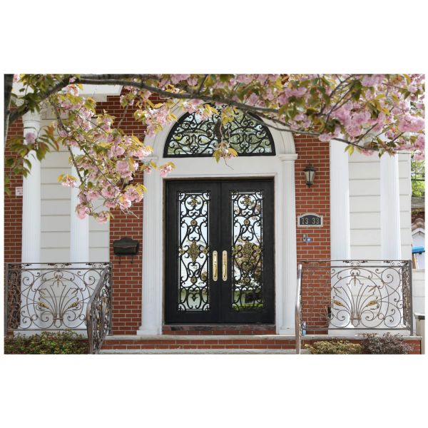 Royal Series Wrought Iron Custom Exterior Door Style – DF Studio NYC