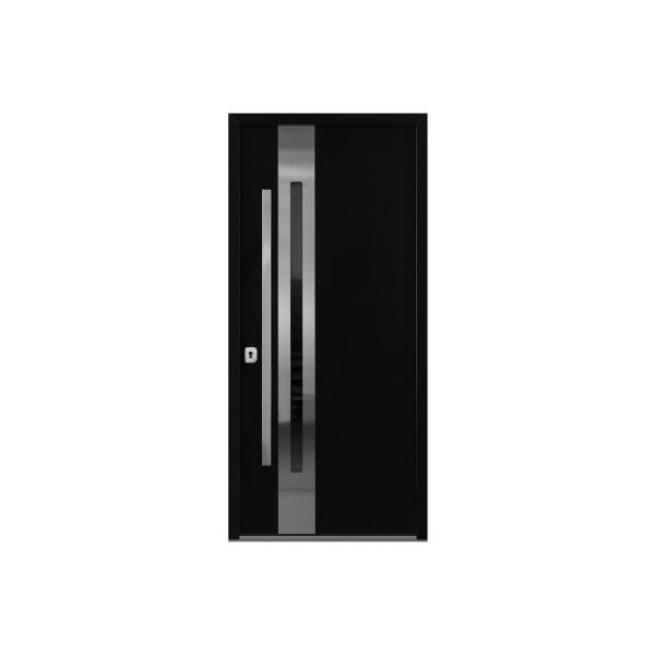 NOVA INOX Series Black Exterior Doors – DF Studio NYC