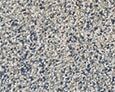 decco MicroQuartz – DF Studio NYC